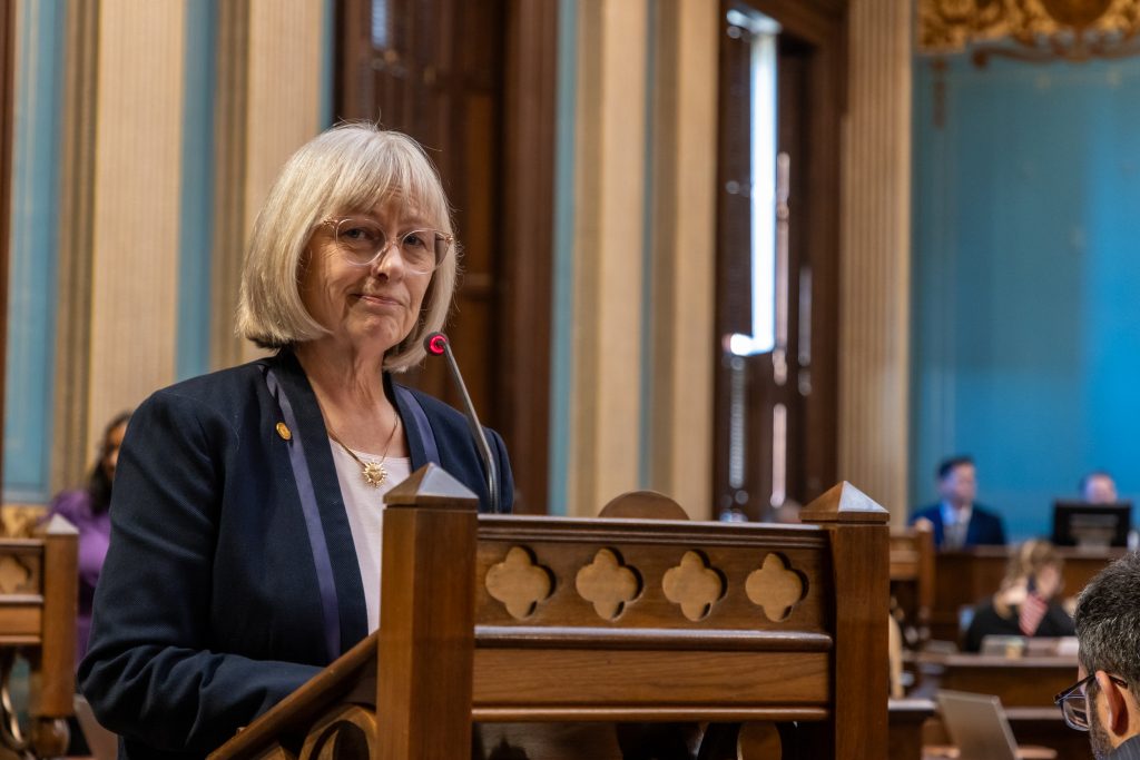 Chang, Cavanagh, Santana and Bayer Respond to ICE Detainment of Detroit ...