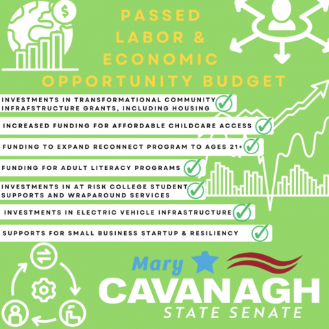State Budget Update - Senator Mary Cavanagh