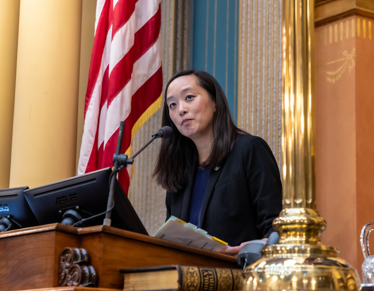 Michigan Legislators Reintroduce Legislation to Ensure Diverse ...