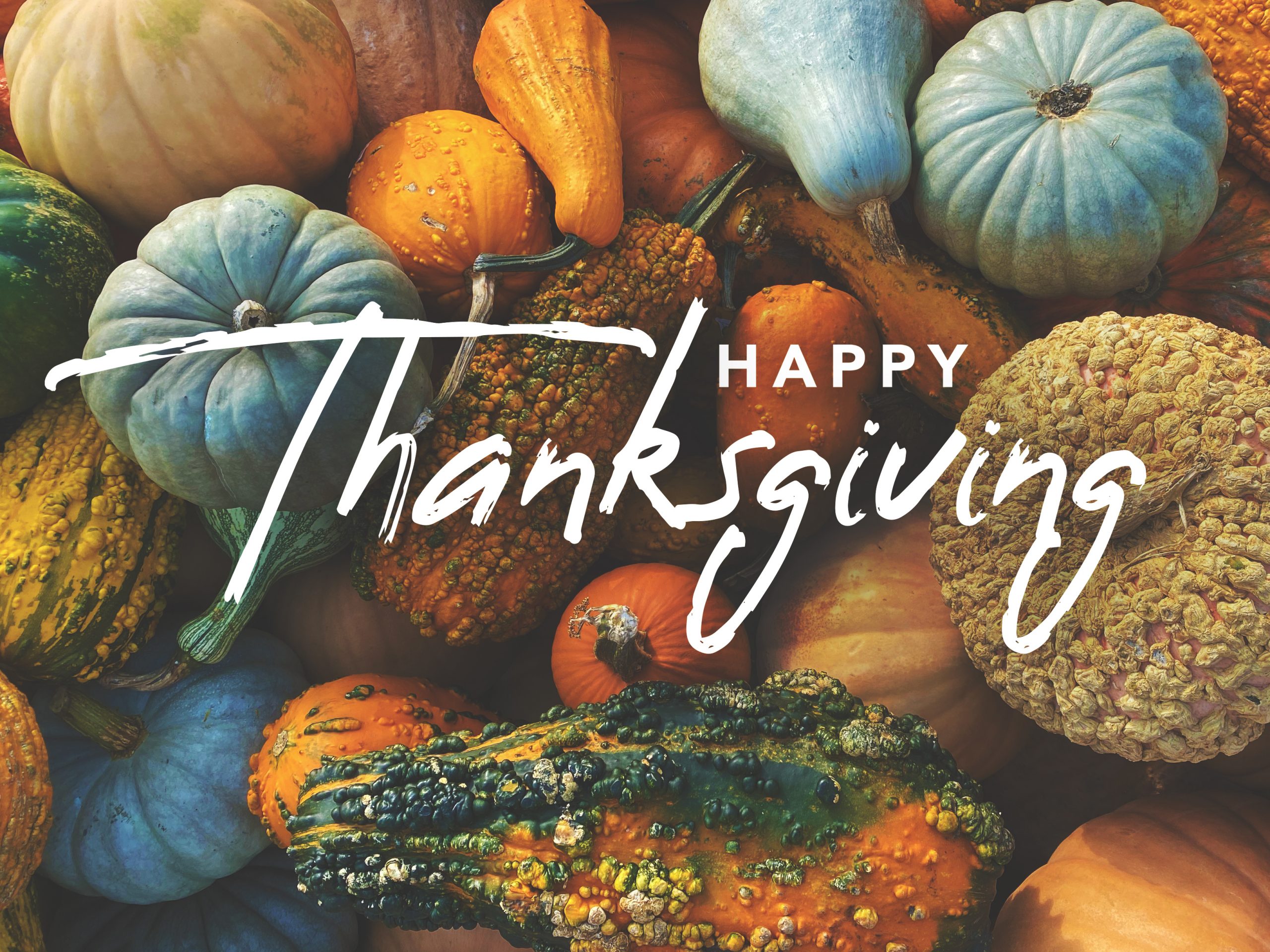 Michigan Senate Democrats Celebrate Thanksgiving, Legislative and ...