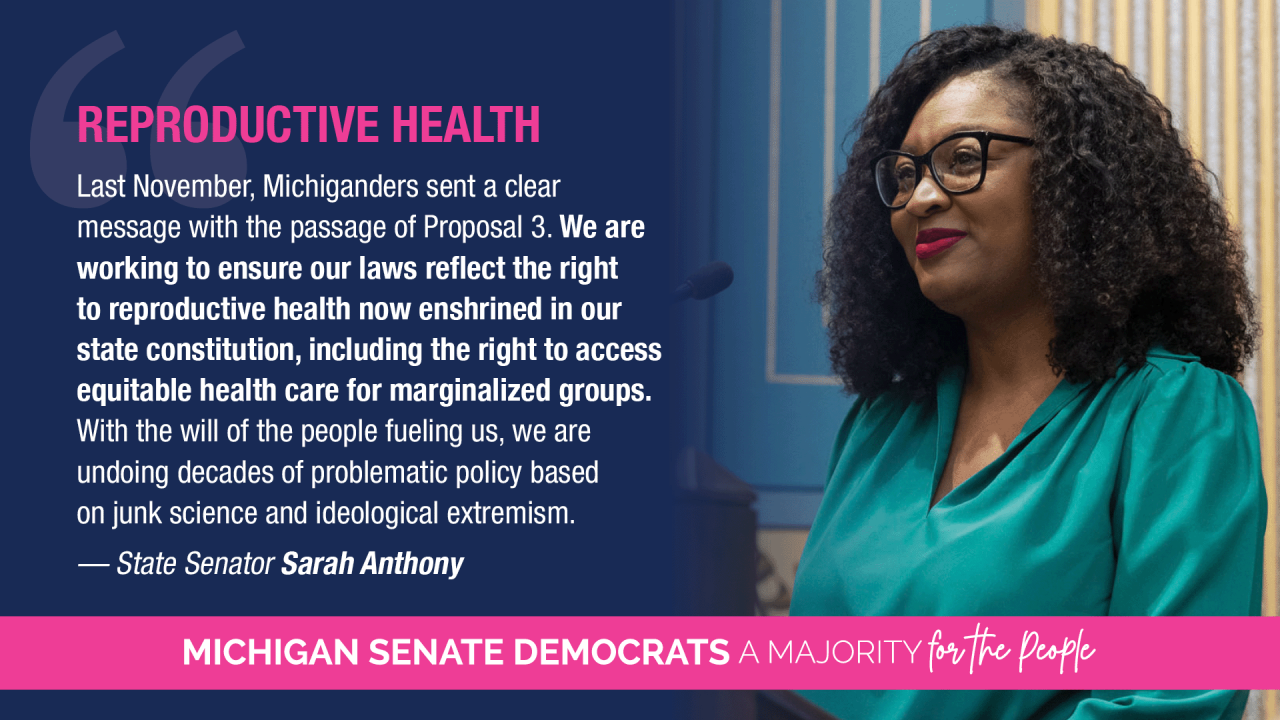 Michigan Senate Democrats on Governor Whitmer’s ‘What’s Next Address' - Michigan Senate Democrats