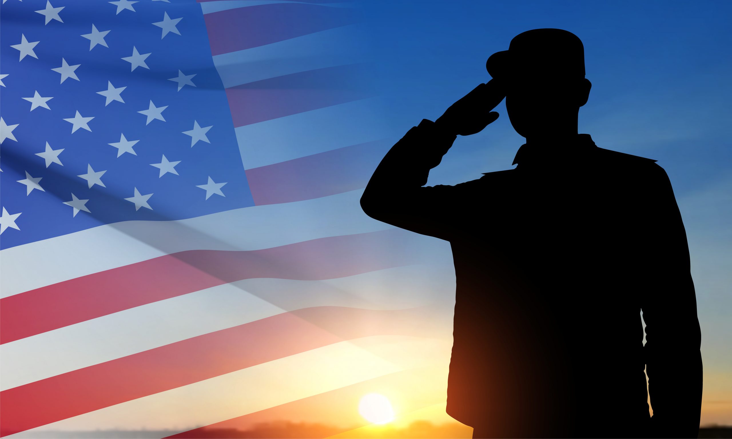 Veterans Day: Supporting Michigan Military Service Members - Michigan ...